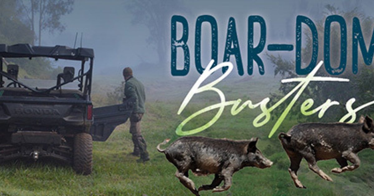 NIOA - BOAR-DOM Busters