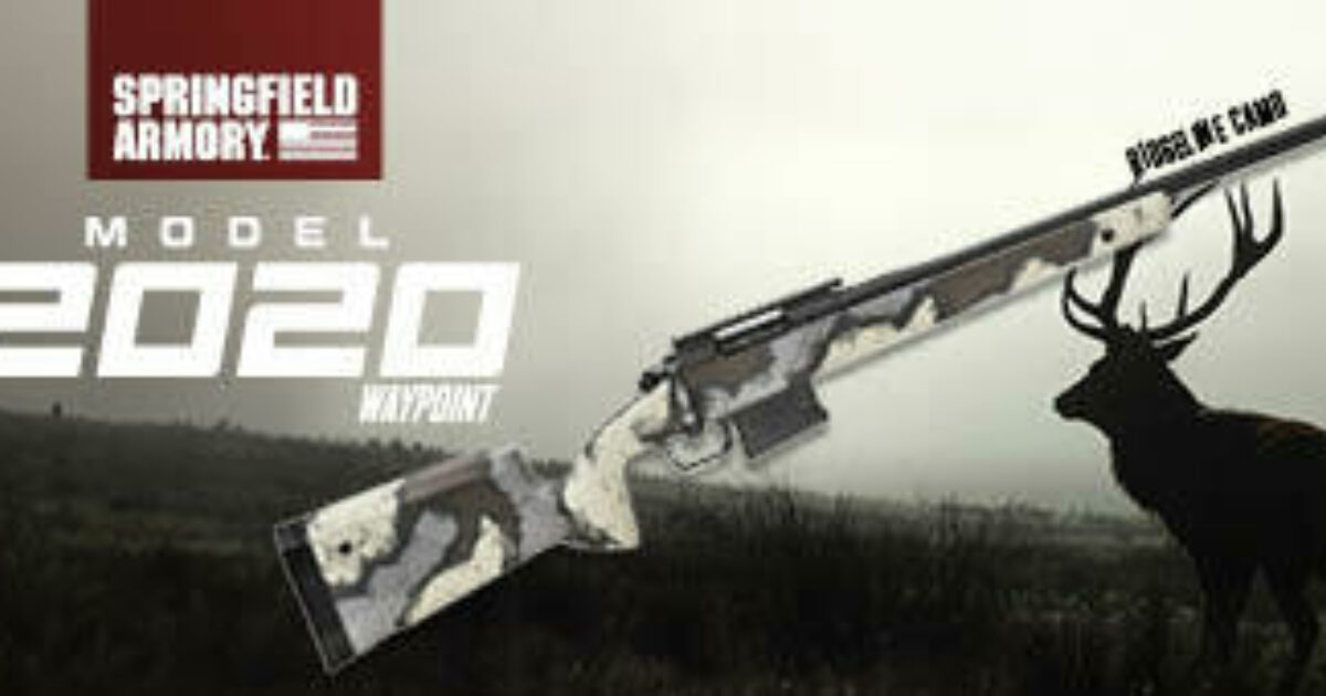 NIOA - Discover Precision and Performance with the Springfield Model ...